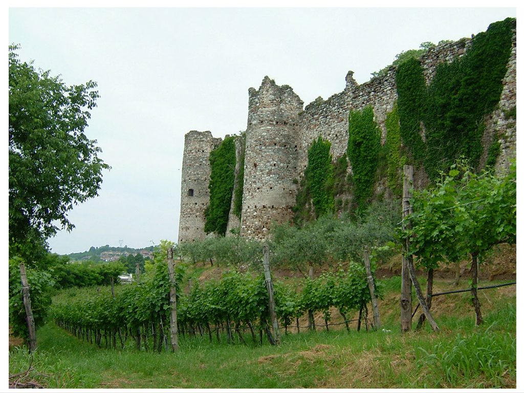 Il Territorio| Casa Vinicola Carlo Zenegaglia